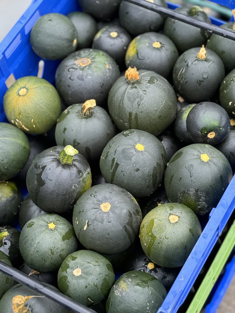 Gem Squash (Seasonal - Limited Availability) – Mousehall